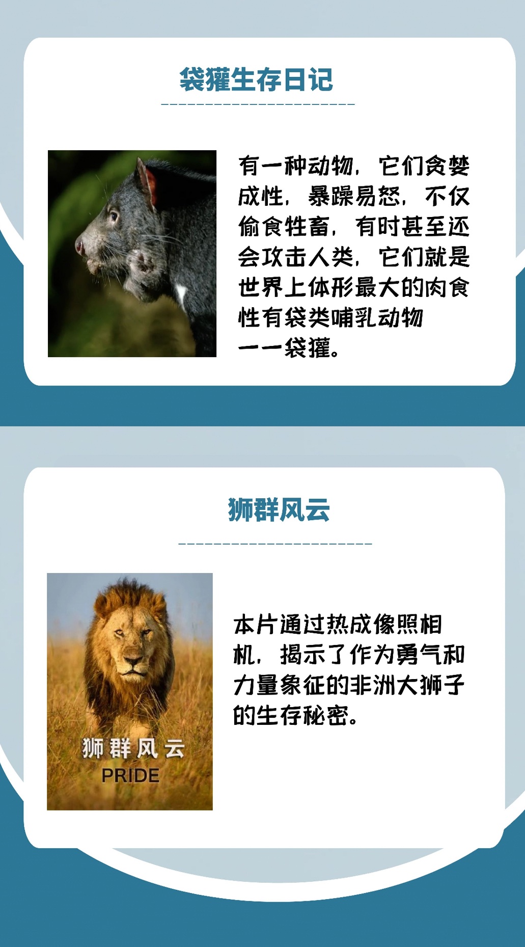 CCTV-9适合全家一起看的20部国际纪录片佳作