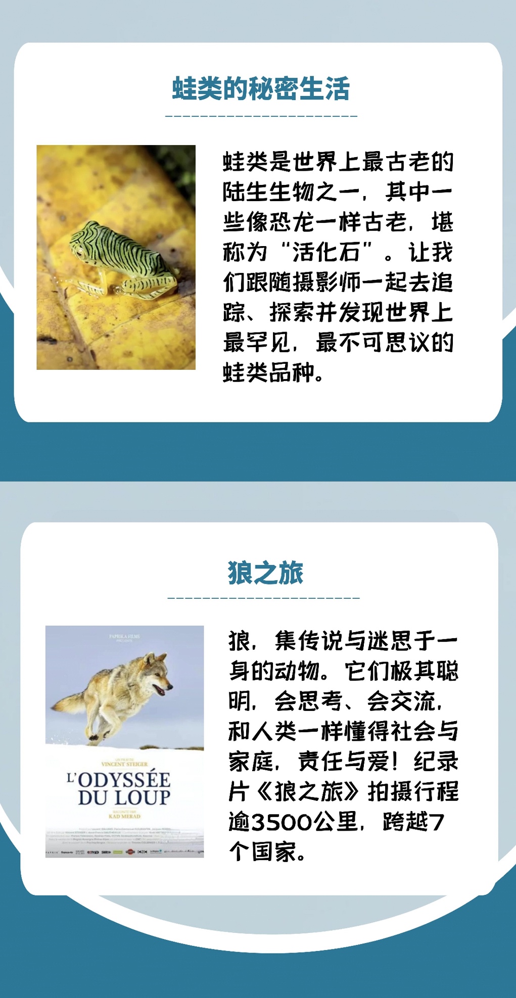 CCTV-9适合全家一起看的20部国际纪录片佳作