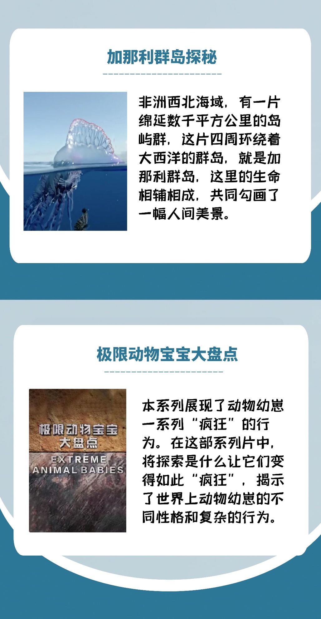 CCTV-9适合全家一起看的20部国际纪录片佳作